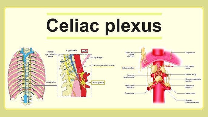 “Target the root. Reclaim your life.” - Pain Institute of Southern Arizona
