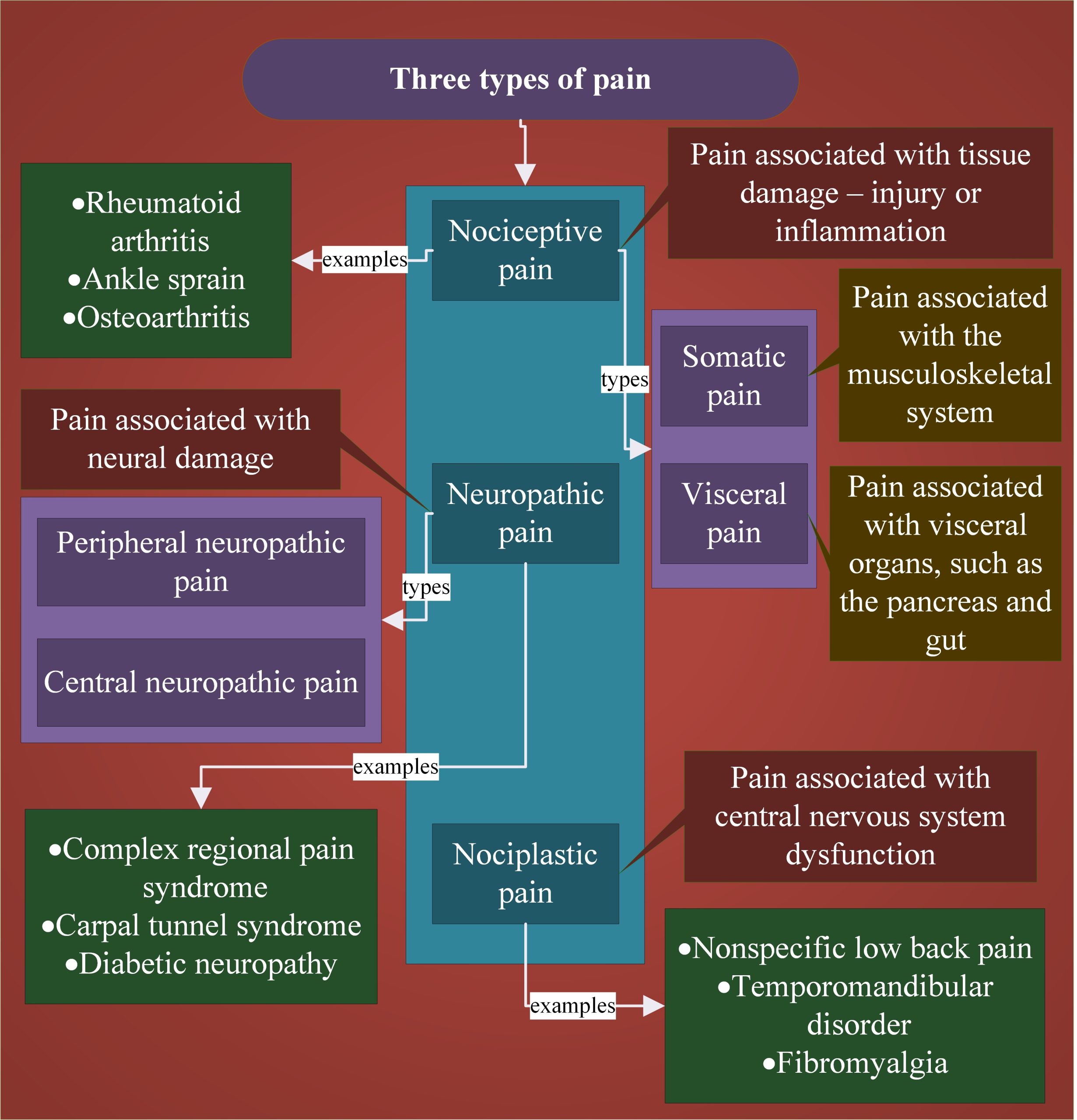 “Nociceptive pain: Your body’s built-in alarm for injury and healing ...